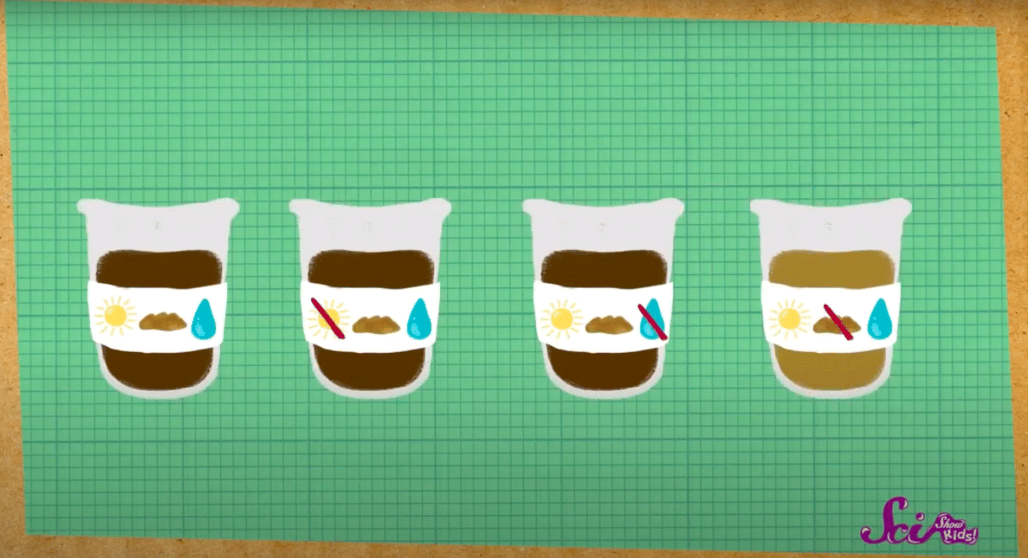 How to Let's Grow Plants! – DIY