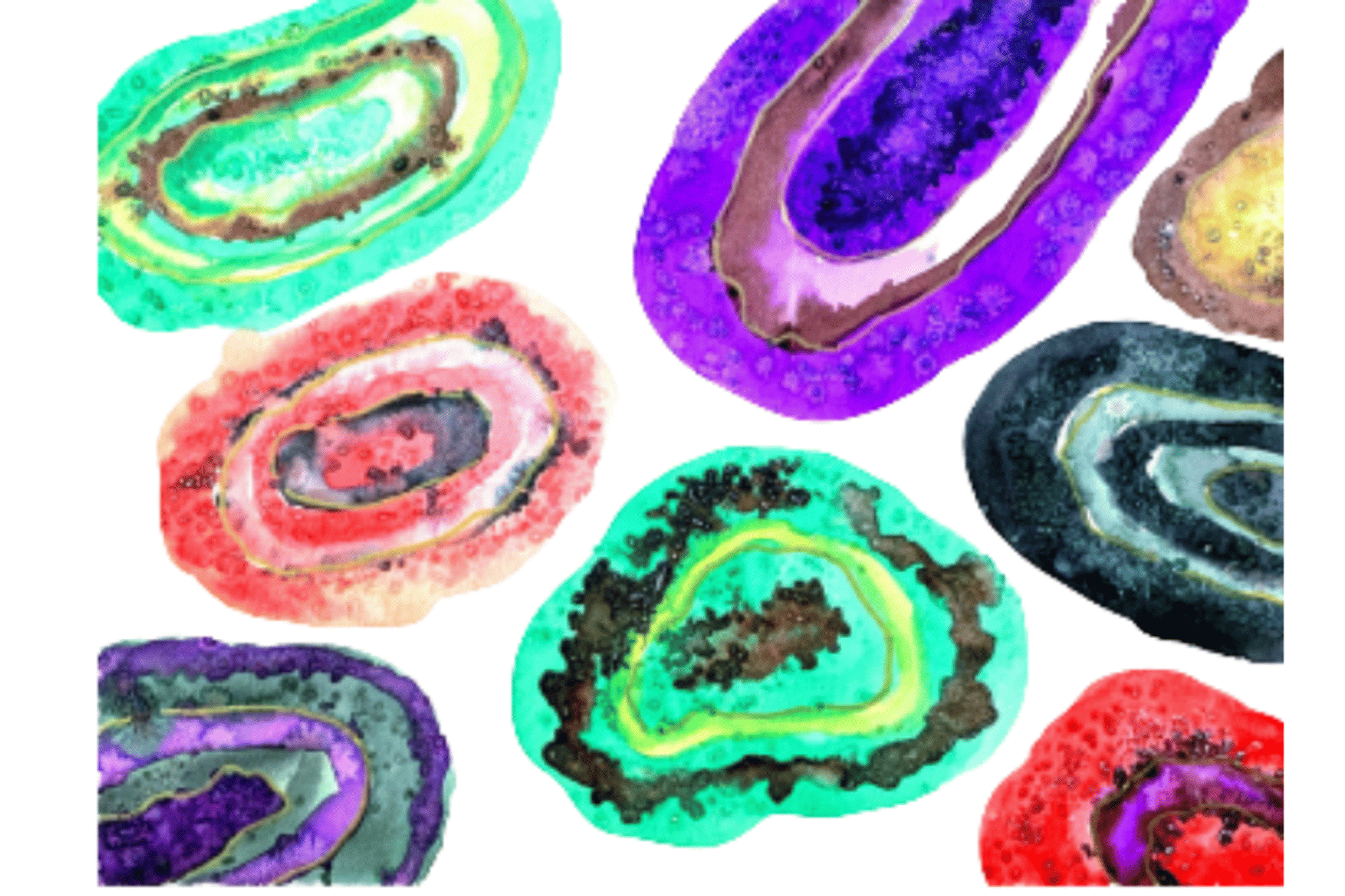 How to Master Wet on Wet Colouring – DIY